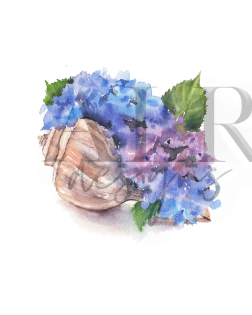 Hydrangea Seashell Blooms 5x7 Blank Greeting Card – ALR Designs