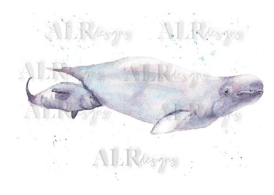Beluga Mom 5x7 Blank Greeting Card – ALR Designs