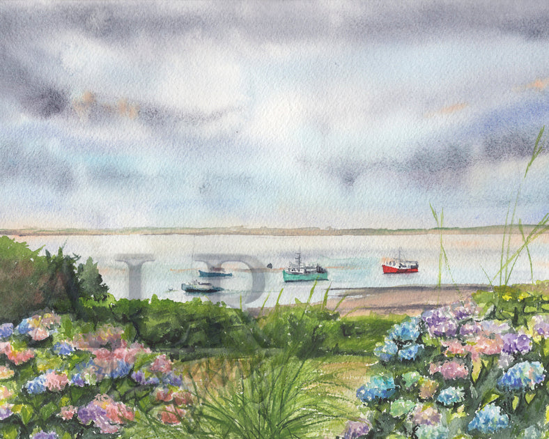 Chatham Hydrangeas 5x7 Blank Greeting Card – ALR Designs